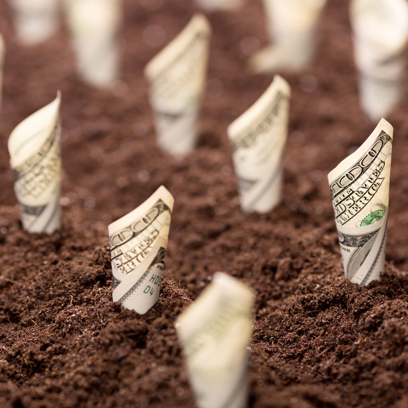 New revenue idea? Watch out for the commerciality doctrine - Johnson ...